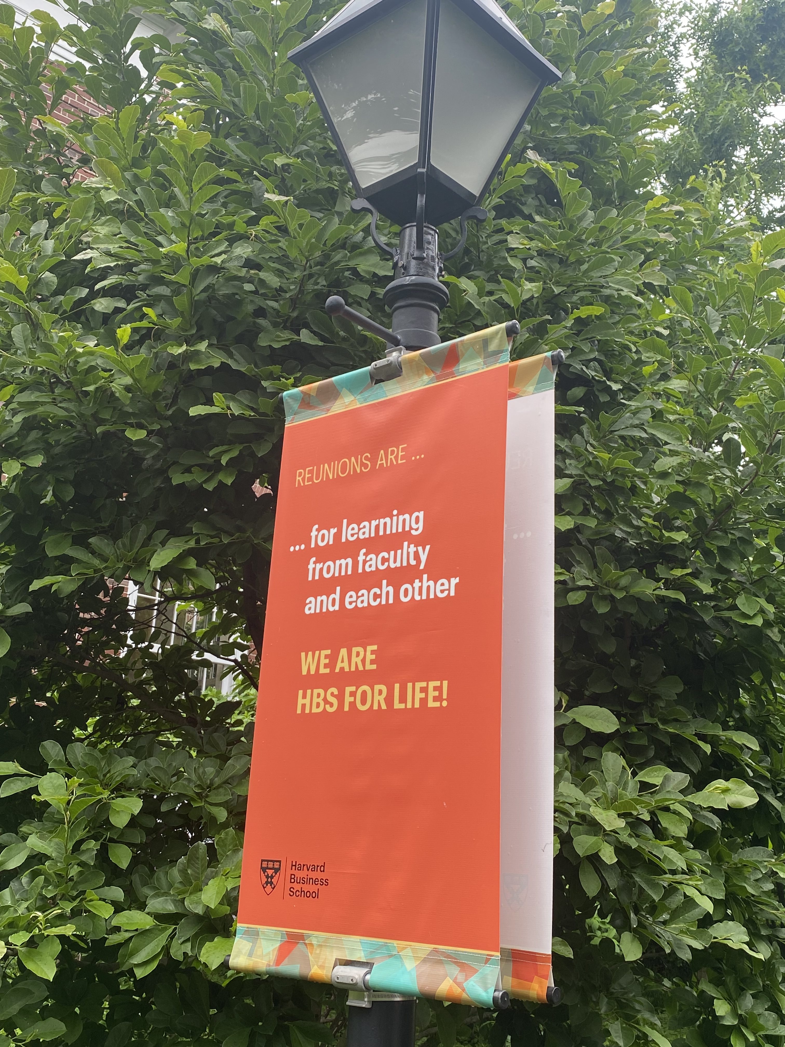 Re-connecting and rebuilding - 4 days at Harvard Business School (HBS) - Make Space for Growth